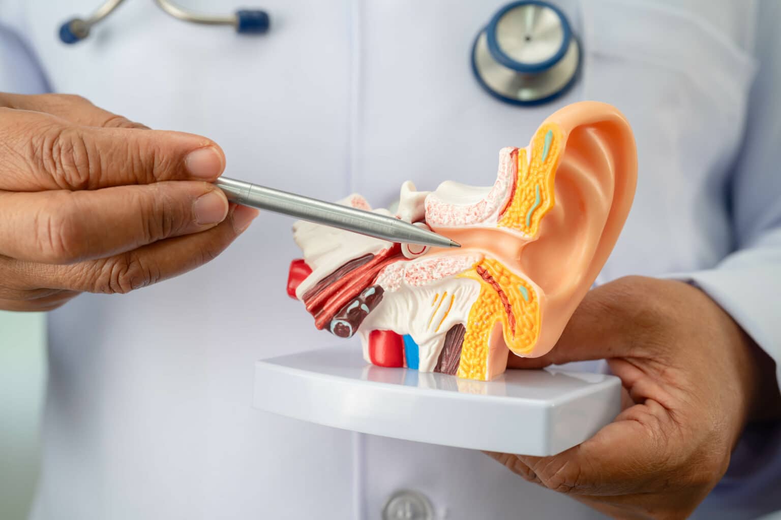 ENT Specialist, Doctor & Clinic in Singapore | Dr Leslie Koh